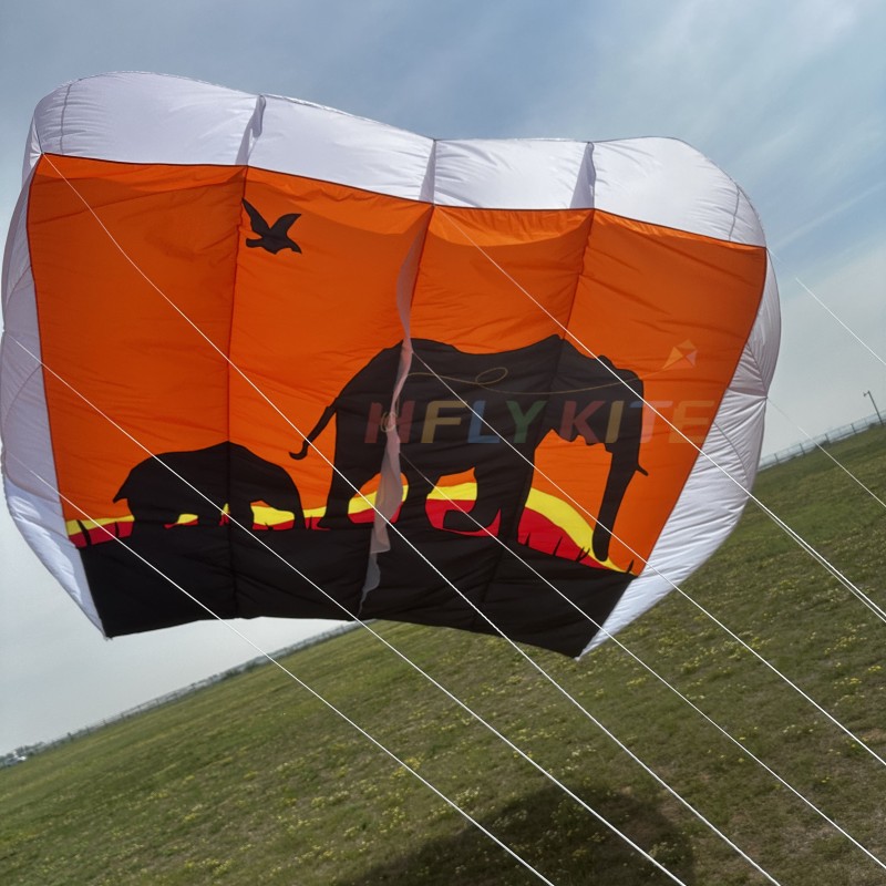 12sqm elephant pilot lifter kite 40d ripstop nylon