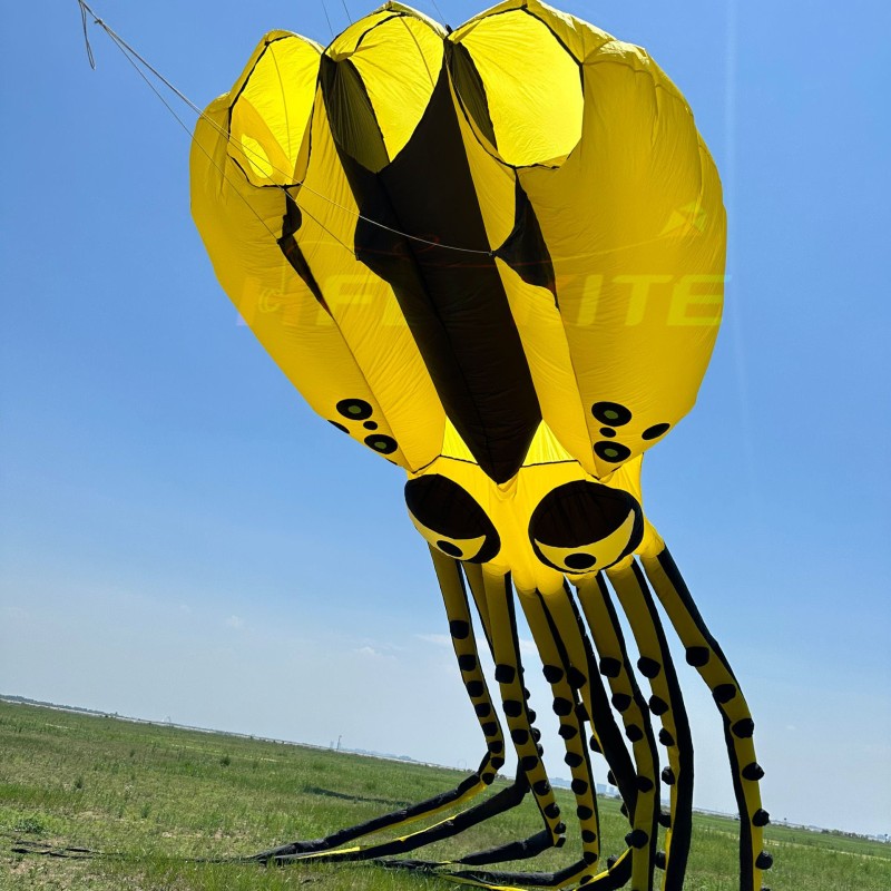 20m octopus kite